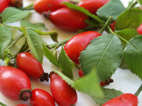 「Hiffen」の画像 - 318 件の Stock 写真、ベクターおよびビデオ | Adobe Stock