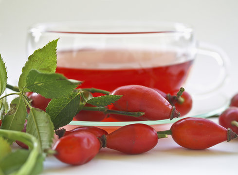 รูปภาพHiffen – เลือกดูภาพถ่ายสต็อก เวกเตอร์ และวิดีโอ326 | Adobe Stock