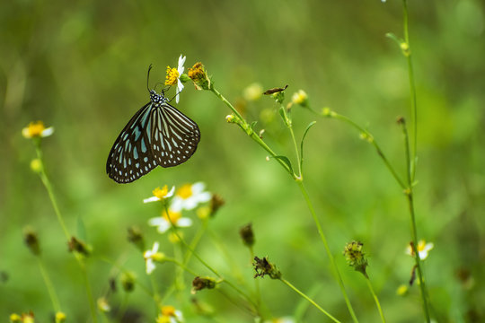 Transfrom Images – Browse 27 Stock Photos, Vectors, and Video | Adobe Stock