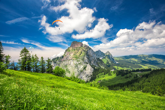 รูปภาพ"Grosser – เลือกดูภาพถ่ายสต็อก เวกเตอร์ และวิดีโอ6,886 | Adobe Stock