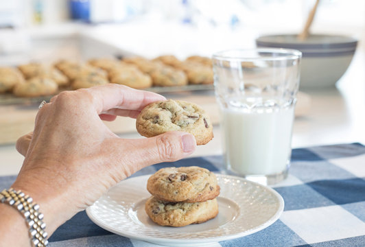 Sneaking Images – Browse 504,165 Stock Photos, Vectors, and Video ...