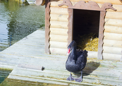 Monogamic Images – Browse 4 Stock Photos, Vectors, and Video | Adobe Stock