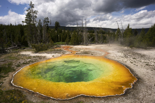 Rumin Gong photos, images, assets | Adobe Stock