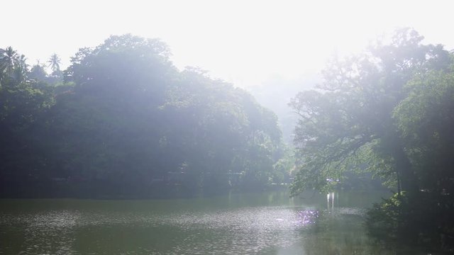 รูปภาพMuhuda – เลือกดูภาพถ่ายสต็อก เวกเตอร์ และวิดีโอ33 | Adobe Stock