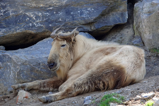 Tapin Images – Parcourir 10 le catalogue de photos, vecteurs et vidéos ...
