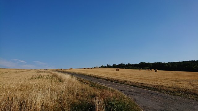 Feldmark Images – Browse 593 Stock Photos, Vectors, and Video | Adobe Stock