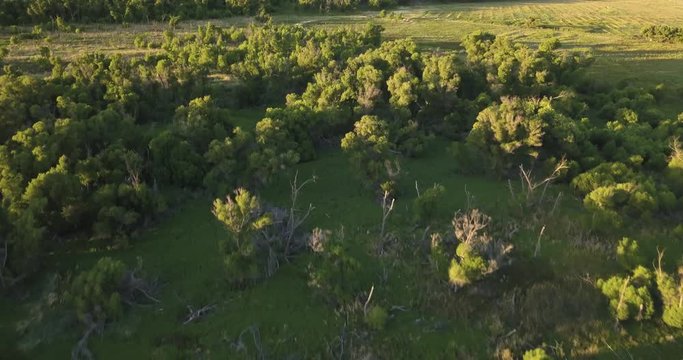 Weldon Images – Browse 99 Stock Photos, Vectors, and Video | Adobe Stock