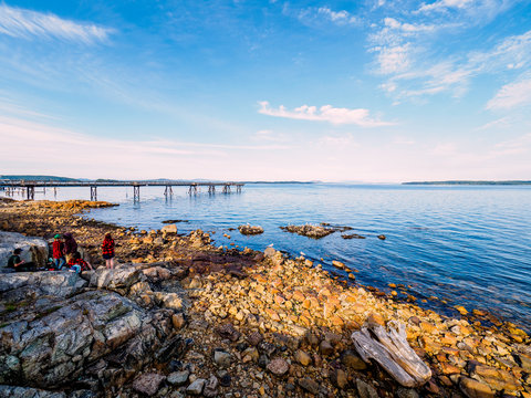 Sidney 이미지 – 찾아보기 3,434 스톡 사진, 벡터 및 비디오 | Adobe Stock