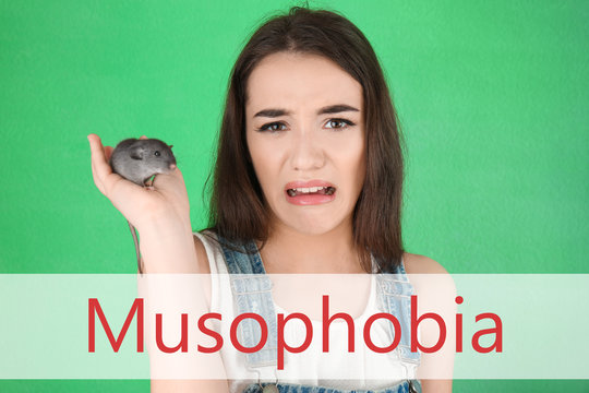 Musophobia Bilder – Durchsuchen 186 Archivfotos, Vektorgrafiken und ...