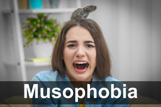 Musophobia bilder – Bläddra bland 122 stockfoton, vektorer och videor ...