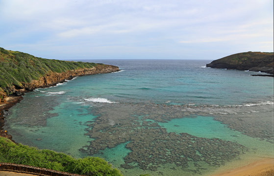 「Hanama」の写真素材 | 37件の無料イラスト画像 | Adobe Stock
