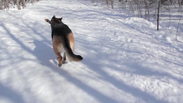 Instigator Images – Browse 311 Stock Photos, Vectors, and Video | Adobe ...