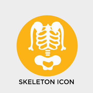 "Skeleton Icon" Images – Browse 81 Stock Photos, Vectors, and Video ...