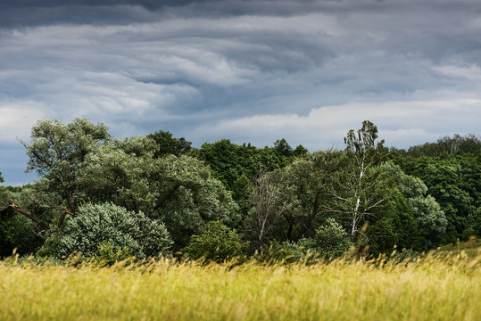 Drily Bilder – Durchsuchen 272 Archivfotos, Vektorgrafiken und Videos ...