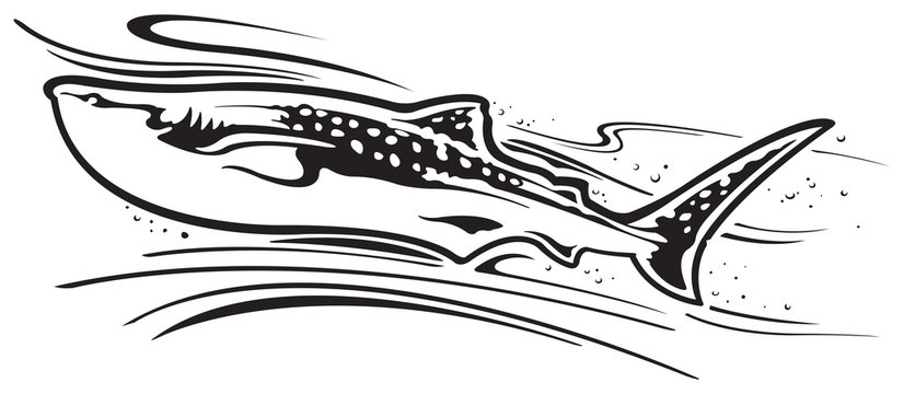 Butanding Images – Browse 6,637 Stock Photos, Vectors, and Video ...