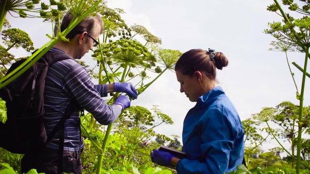 Biogeography Images – Parcourir 379 le catalogue de photos, vecteurs et ...