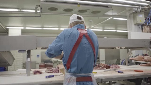 รูปภาพMeatfactory – เลือกดูภาพถ่ายสต็อก เวกเตอร์ และวิดีโอ111 | Adobe Stock