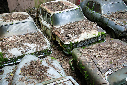 Imágenes de Autofriedhof: descubre bancos de fotos, ilustraciones ...