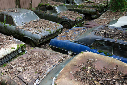 Autofriedhof Images – Browse 843 Stock Photos, Vectors, and Video ...