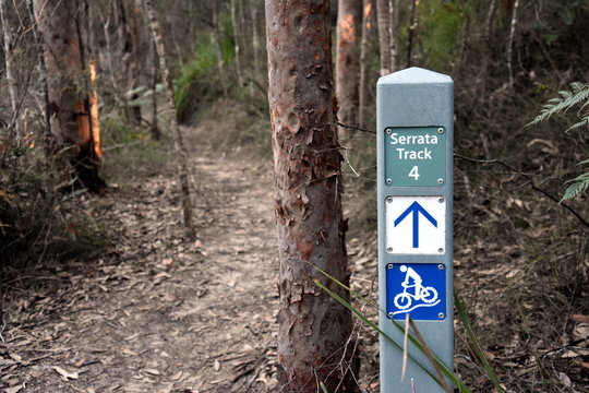 Bushwalking bilder – Bläddra bland 2,829 stockfoton, vektorer och ...