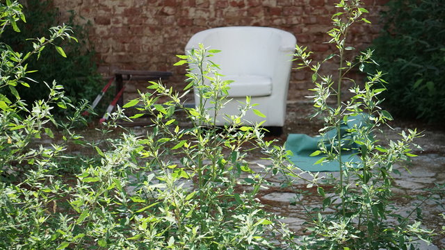 Sesel Images – Browse 434 Stock Photos, Vectors, and Video | Adobe Stock