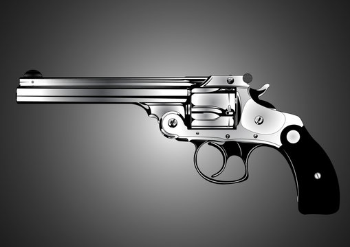 45 Magnum Gun