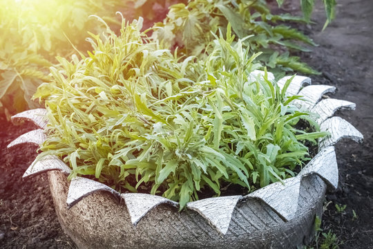 Methiol Images – Browse 4 Stock Photos, Vectors, and Video | Adobe Stock