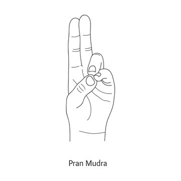 รูปภาพDhyana – เลือกดูภาพถ่ายสต็อก เวกเตอร์ และวิดีโอ1,155 | Adobe Stock