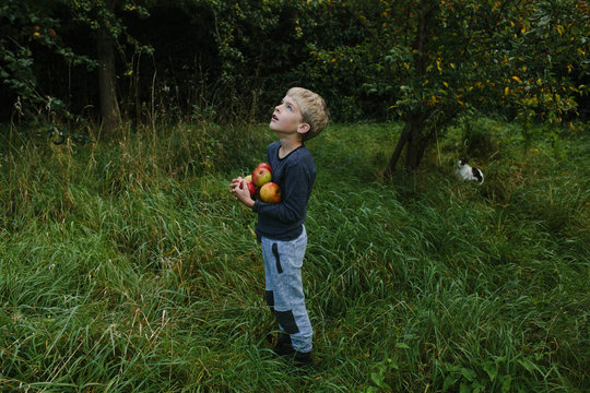 Scrumping Images – Browse 42 Stock Photos, Vectors, and Video | Adobe Stock