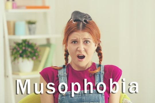 Musophobia bilder – Bläddra bland 128 stockfoton, vektorer och videor ...