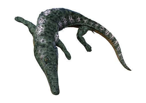 Labyrinthodontia Images – Browse 33 Stock Photos, Vectors, and Video ...