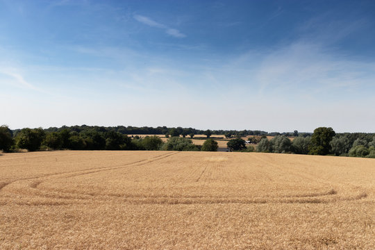 Birchanger Images – Browse 60 Stock Photos, Vectors, and Video | Adobe ...