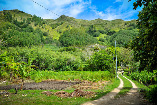 Raivavae Images – Browse 95 Stock Photos, Vectors, and Video | Adobe Stock