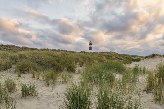 List-Ost Bilder – Durchsuchen 93 Archivfotos, Vektorgrafiken und Videos ...