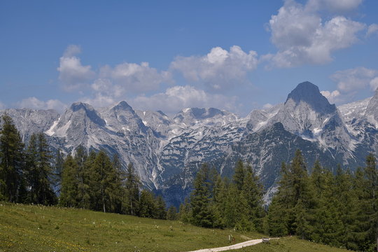 Hoess Bilder – Durchsuchen 74 Archivfotos, Vektorgrafiken und Videos ...