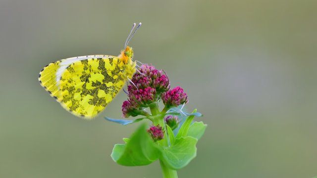 349 Bilder – Durchsuchen 581 Archivfotos, Vektorgrafiken und Videos ...