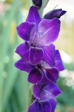 Warpe Bilder – Durchsuchen 226 Archivfotos, Vektorgrafiken und Videos ...