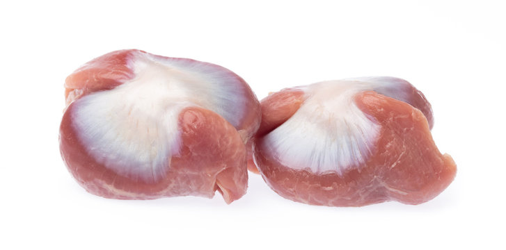 Gizzard Images – Browse 4,900 Stock Photos, Vectors, and Video | Adobe ...