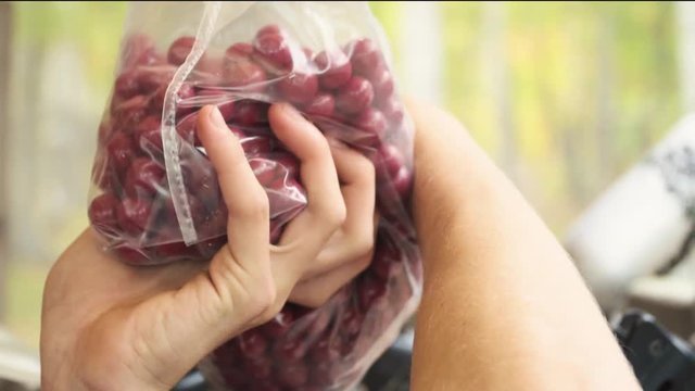 Bushball bilder – Bläddra bland 112 stockfoton, vektorer och videor ...