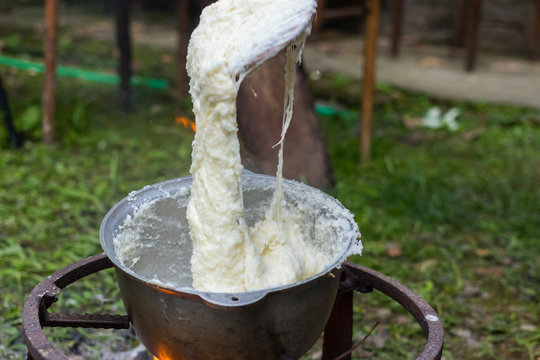 Elarji Images – Browse 45 Stock Photos, Vectors, and Video | Adobe Stock