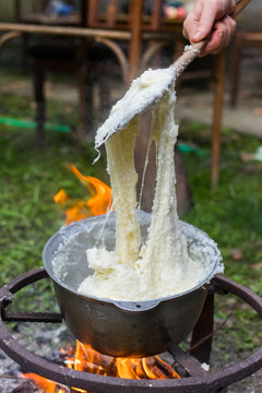 Elarji Images – Browse 42 Stock Photos, Vectors, and Video | Adobe Stock