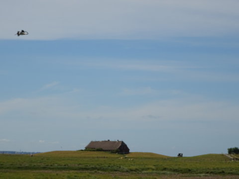 Warft Bilder – Durchsuchen 824 Archivfotos, Vektorgrafiken und Videos ...