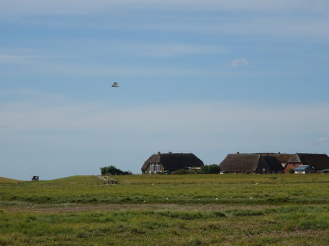 Warft Bilder – Durchsuchen 824 Archivfotos, Vektorgrafiken und Videos ...