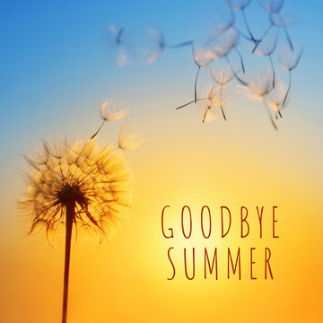 Goodbye Summer Pictures Wallpapers 740+ Bye Bye Summer Stock Photos,