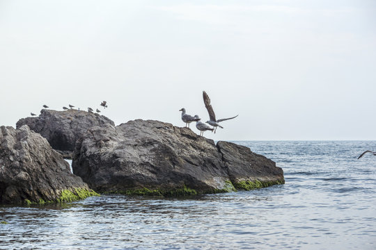 Soldaia - Images et vidéos libres de droits | Adobe Stock