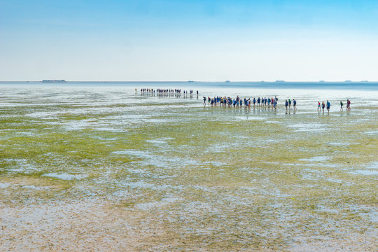 Schlick Images – Browse 36 Stock Photos, Vectors, and Video | Adobe Stock