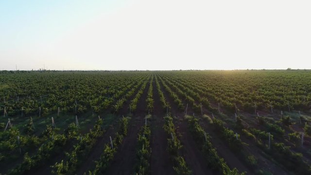 Kacha Images – Browse 328 Stock Photos, Vectors, and Video | Adobe Stock