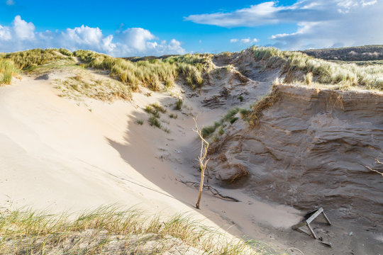 "Sand Displacement" Images – Browse 17 Stock Photos, Vectors, and Video ...