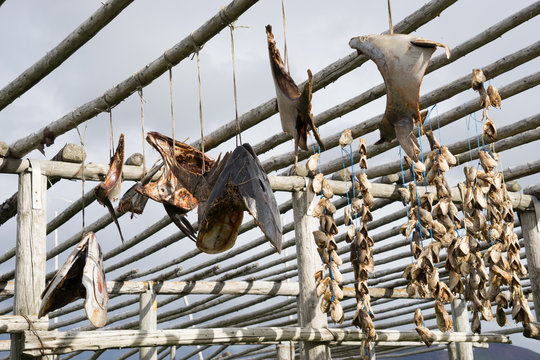 Fischflossenstruktur