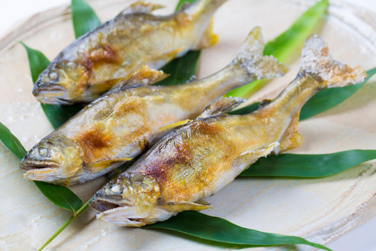 Free Wo Images – Browse 638 Free Stock Photos, Vectors, and Video ...